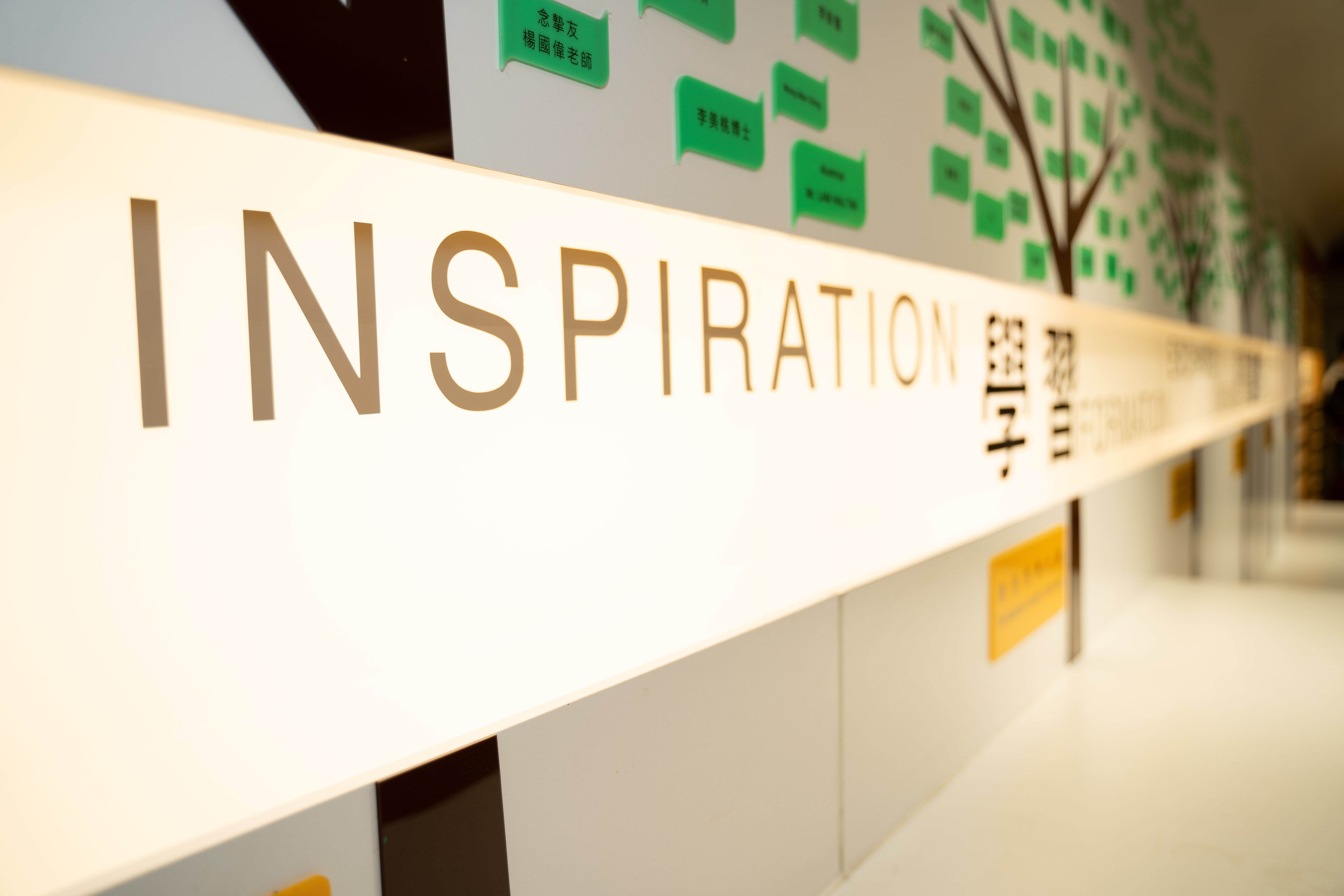 International Qualifications - Application Procedures | Undergraduate Programmes | The Education ...